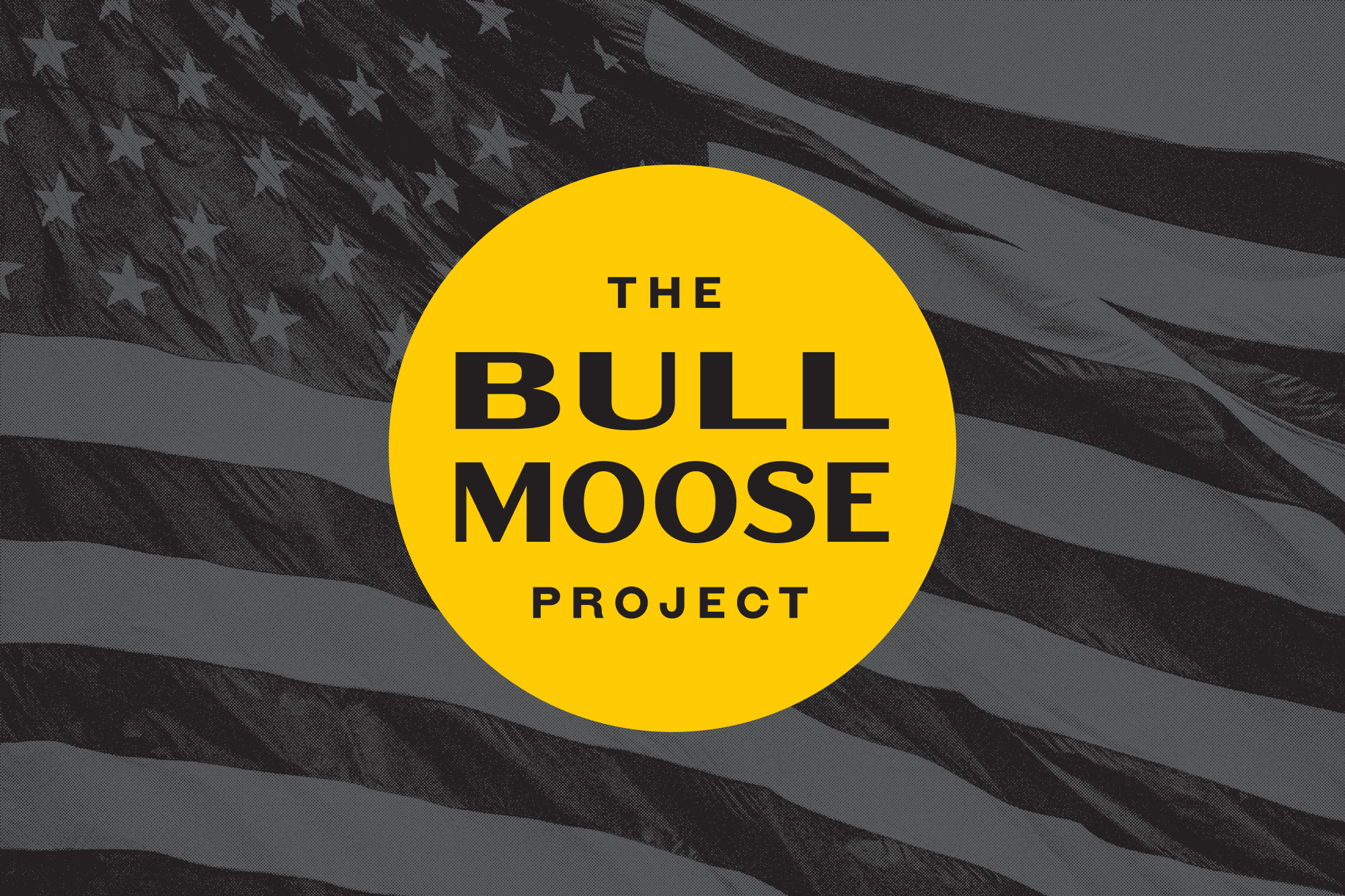 Bull Moose Project | A Case Study by Beck & Stone